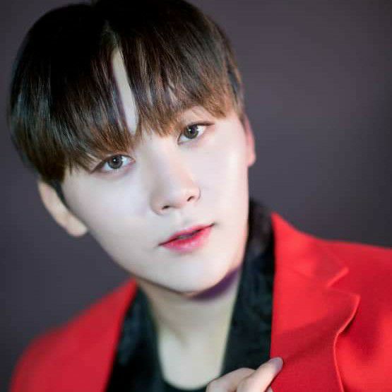 SEVENTEEN [Community]:CHOEAEDOL - Hottest kpop idol community